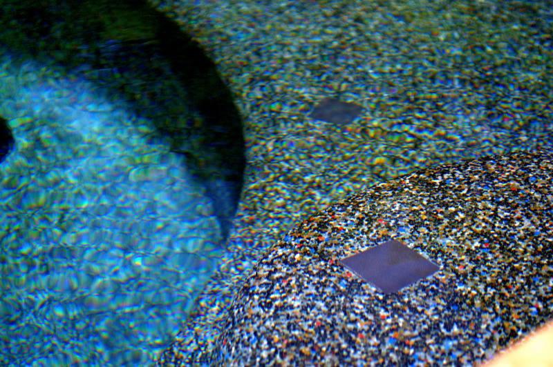 Gunite Pool Gallery | Brown's Pools & Spas Inc. | Atlanta Premier Pool ...